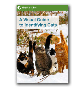 Cat Identification Guide – Alley Cat Allies